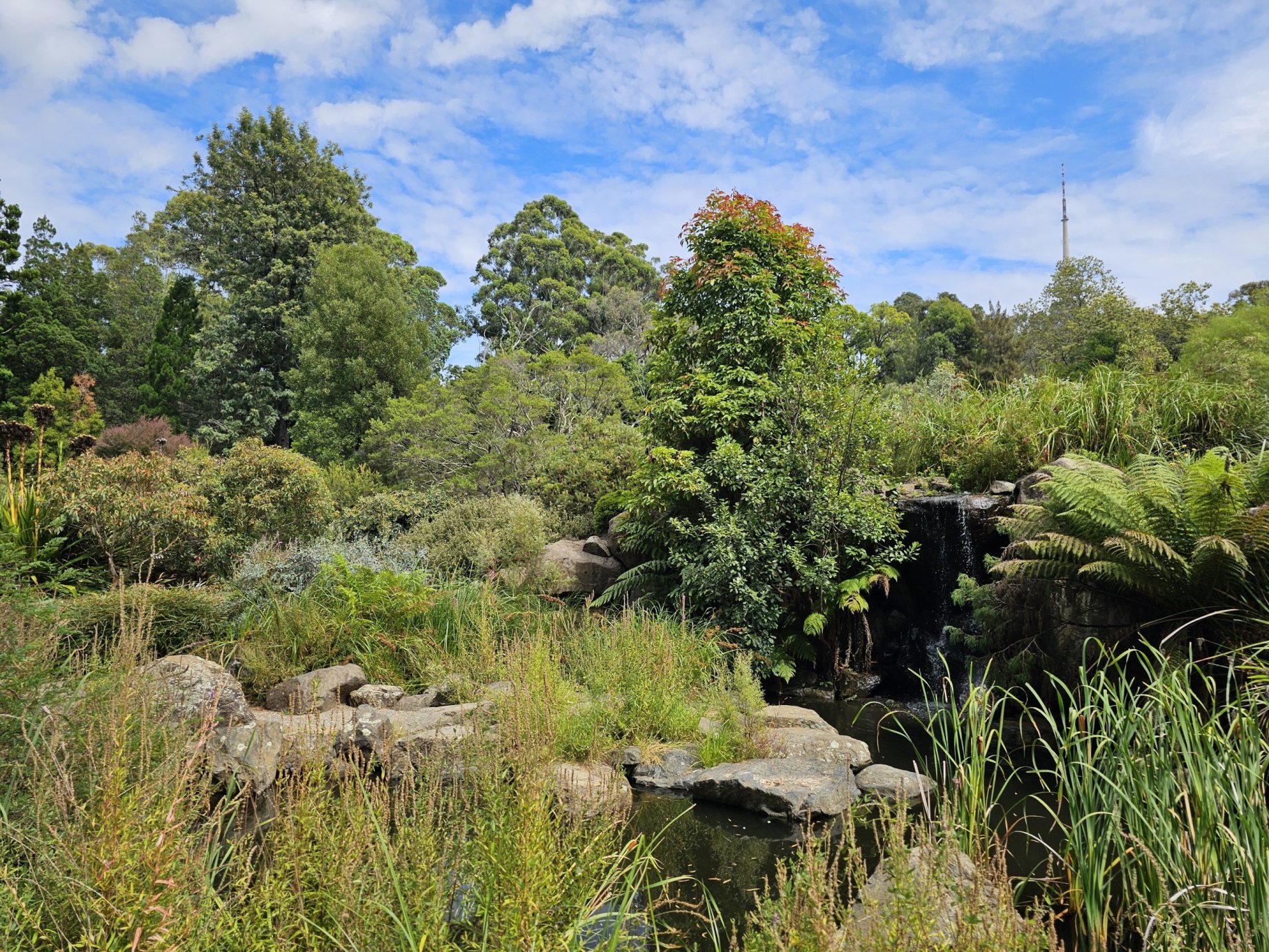 Australian National Botanic Gardens, Canberra - all you need to know
