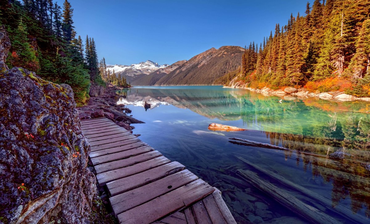 Connections and terminals at Anchorage Airport (ANC)