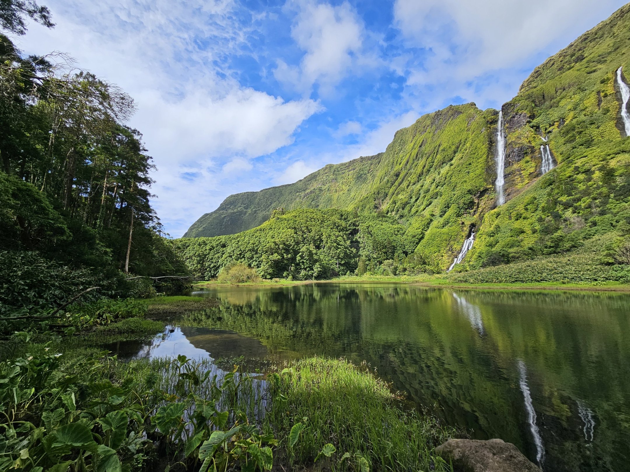 Poço da Ribeira do Ferreiro, Flores - all you need to know