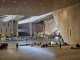 GEM - Great Egyptian Museum, Cairo - all you need to know