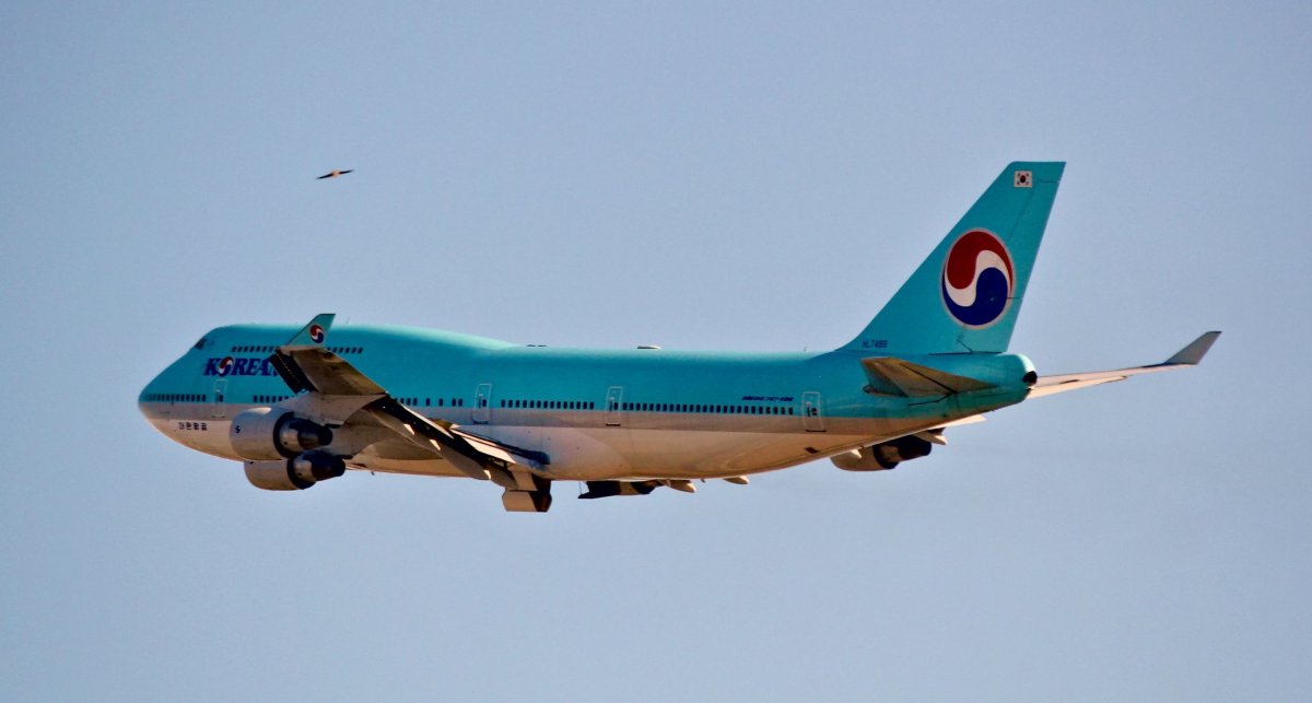 Korean Air check-in for free - when and how to