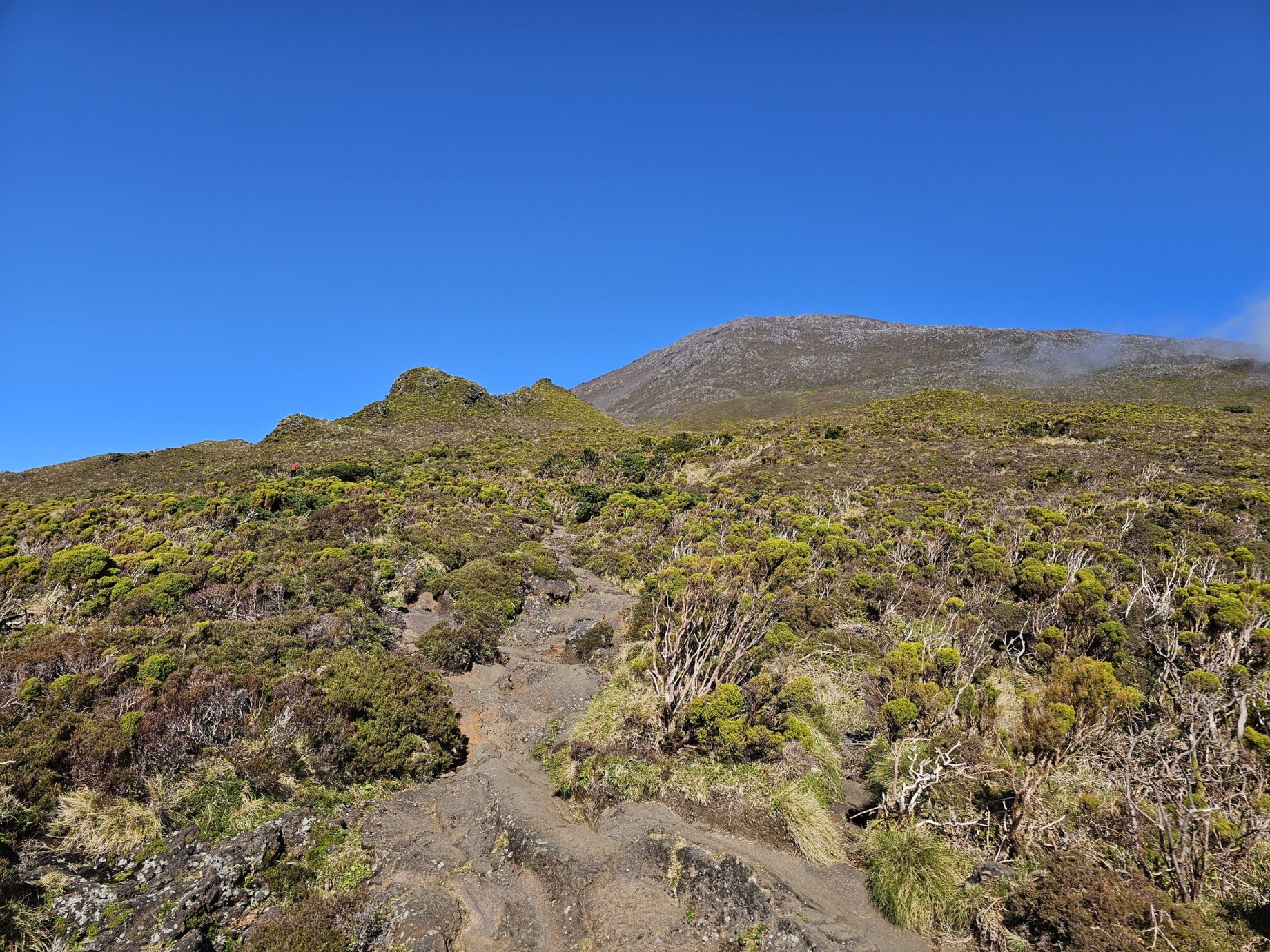 Mount Pico, Pico - all you need to know