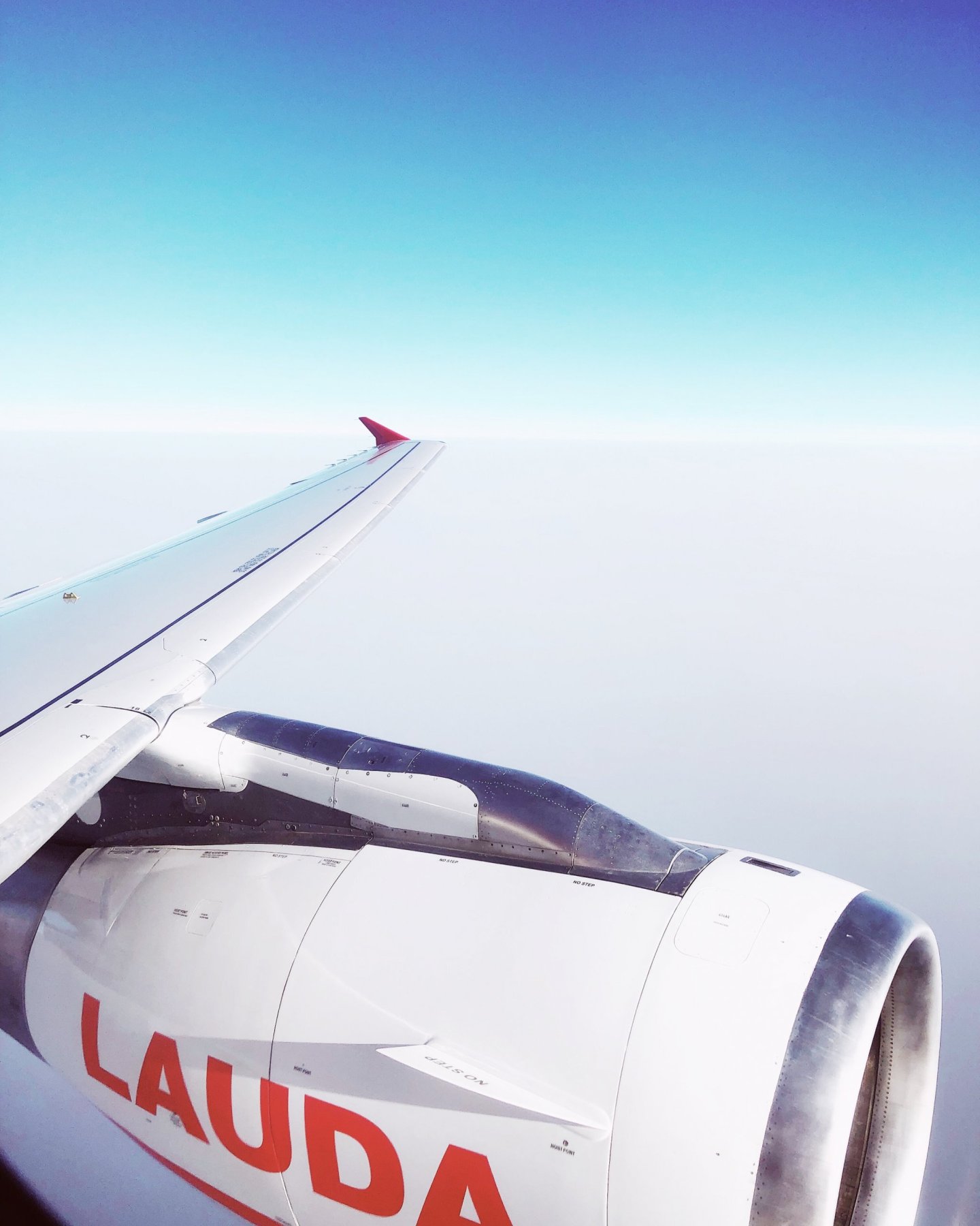Lauda - everything you need to know