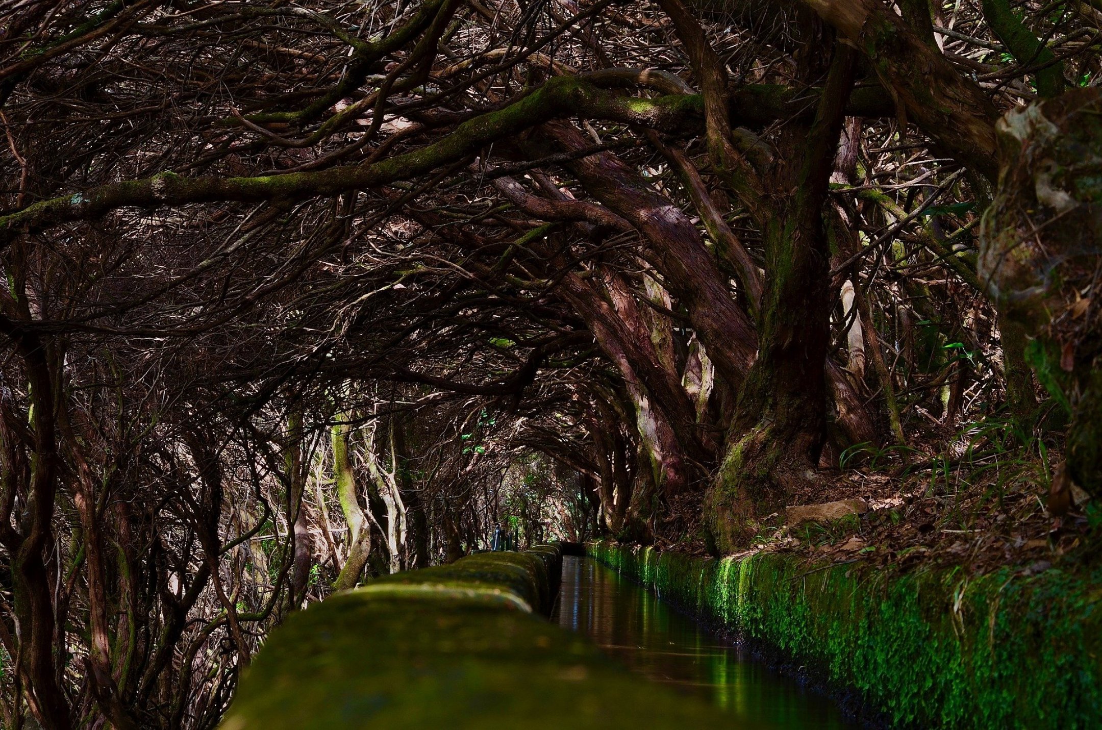 Best levadas walk in Madeira - routes and maps