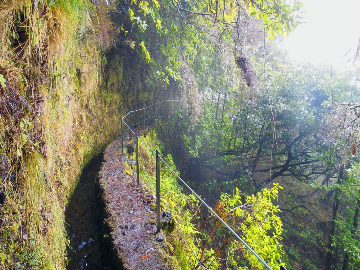 Best levadas walk in Madeira - routes and maps