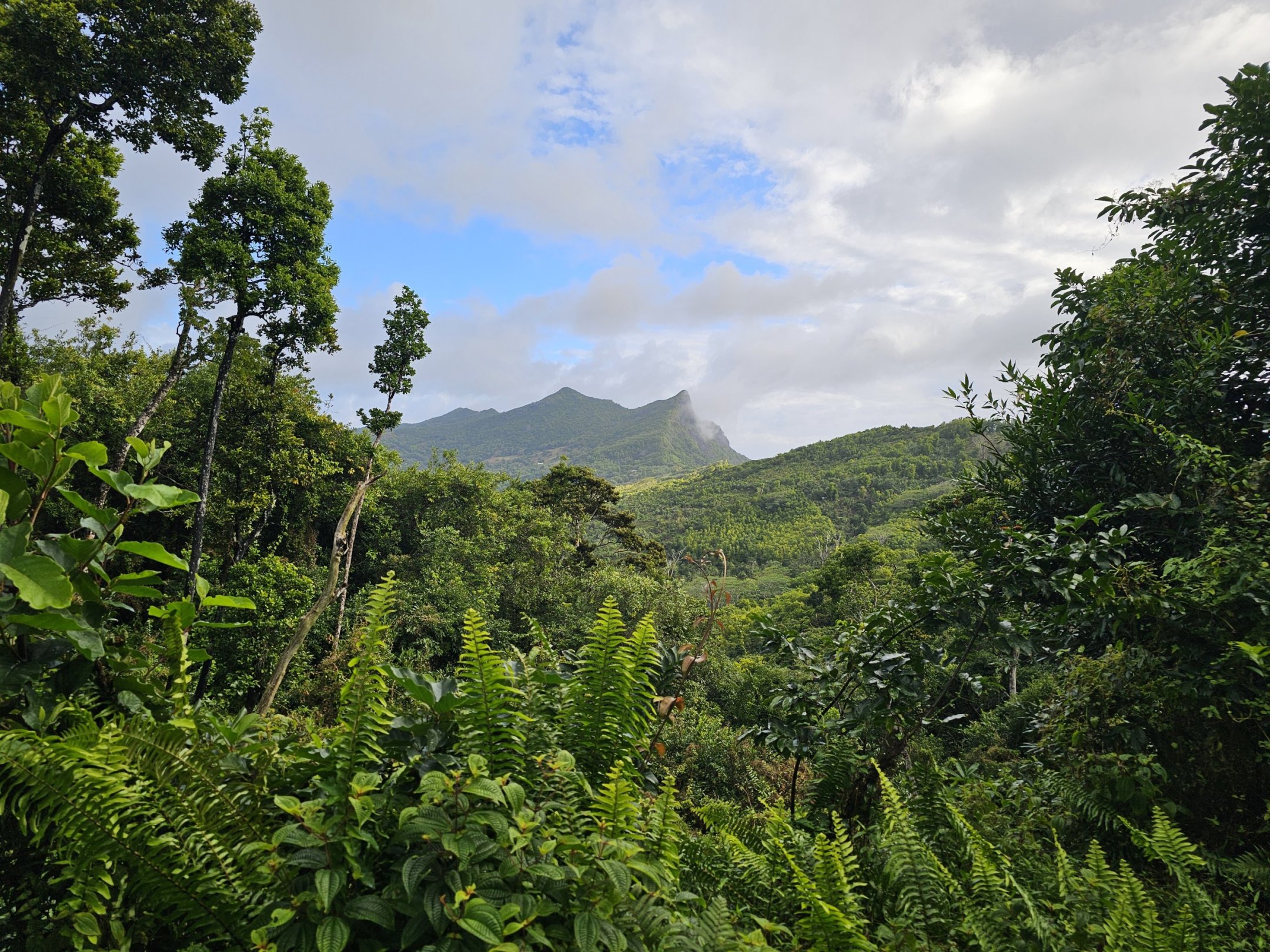 Ebony Forest, Mauritius - all you need to know