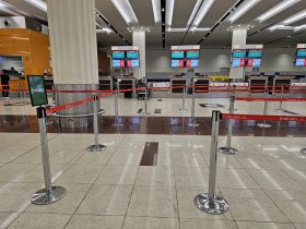 Emirates check-in for free - when and how to