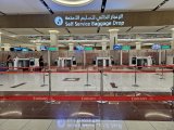 Emirates check-in for free - when and how to