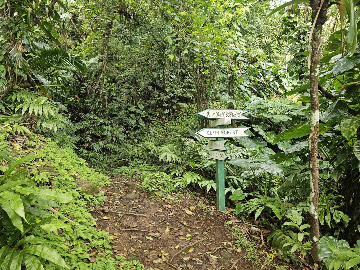 Best activities and things to do in Saba