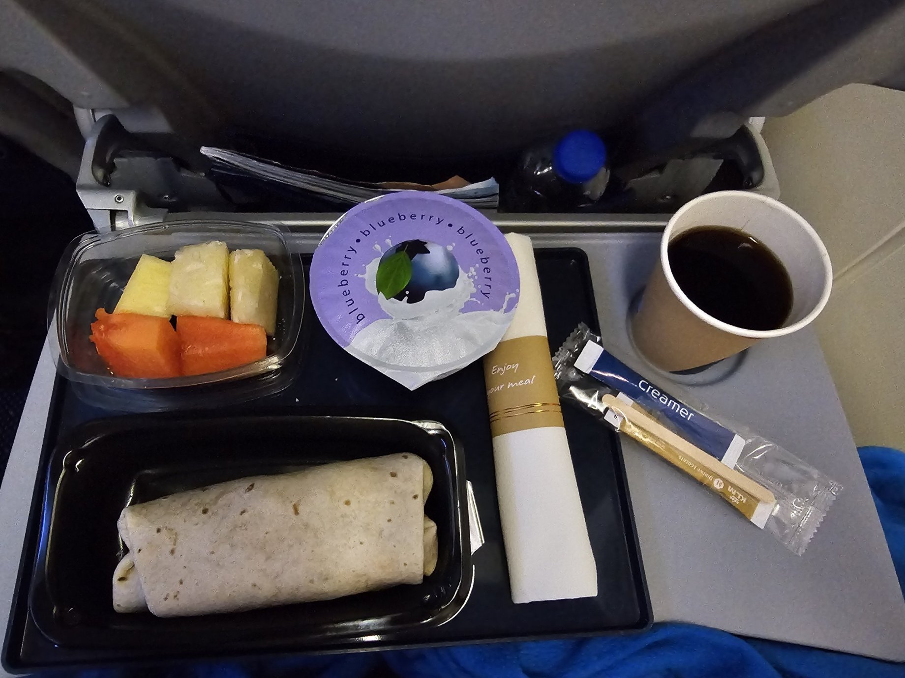 KLM on board services: food, wifi, IFE