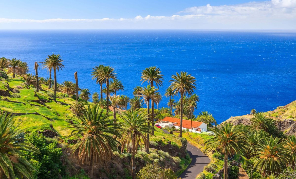 Car rental in La Gomera - reviews and prices for 2026