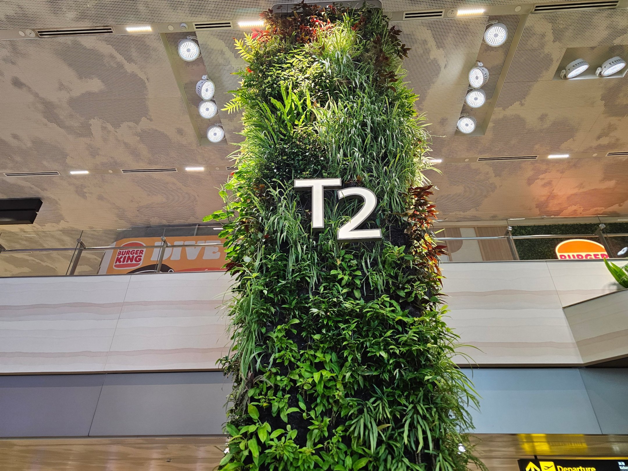 Connections at Singapore SIN – My Experience