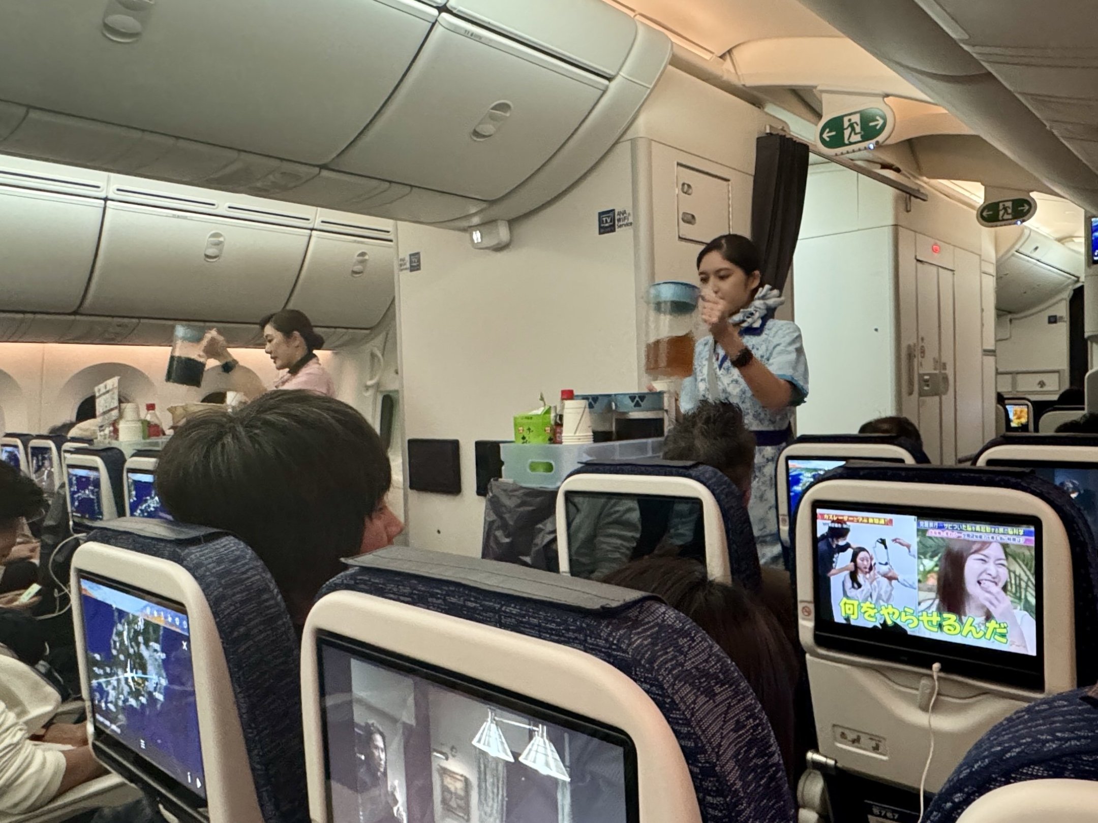 All Nippon Airways on board services: food, wifi, IFE