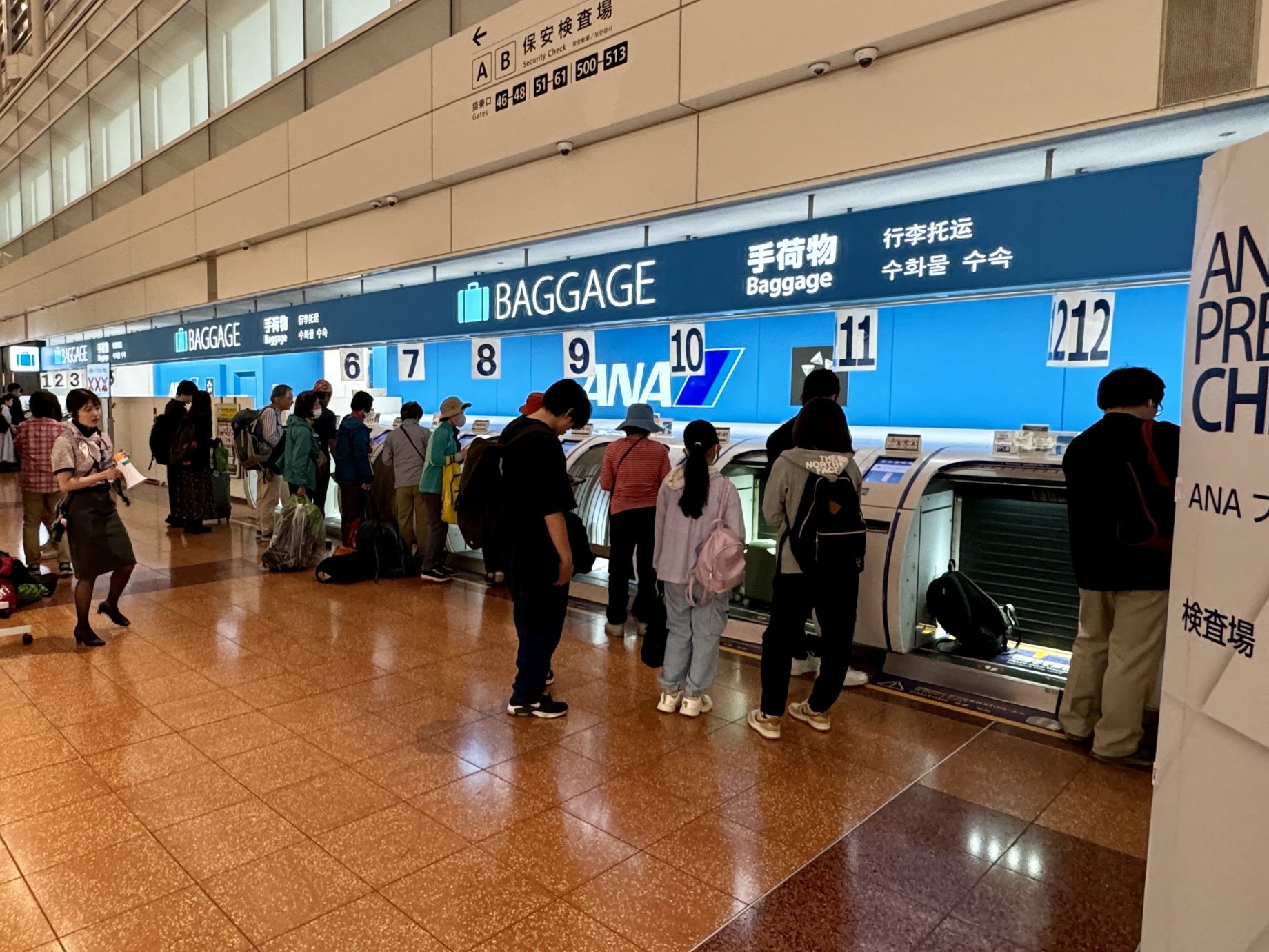 All Nippon Airways check-in for free - when and how to