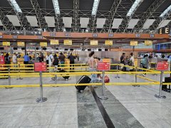 Pegasus Airlines check-in for free - when and how to