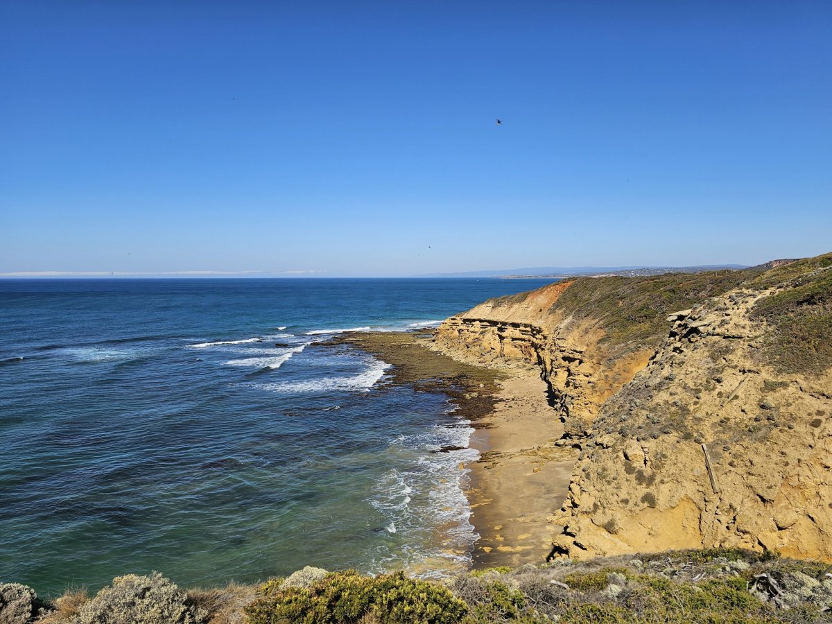 Point Addis, Great Ocean Road - all you need to know